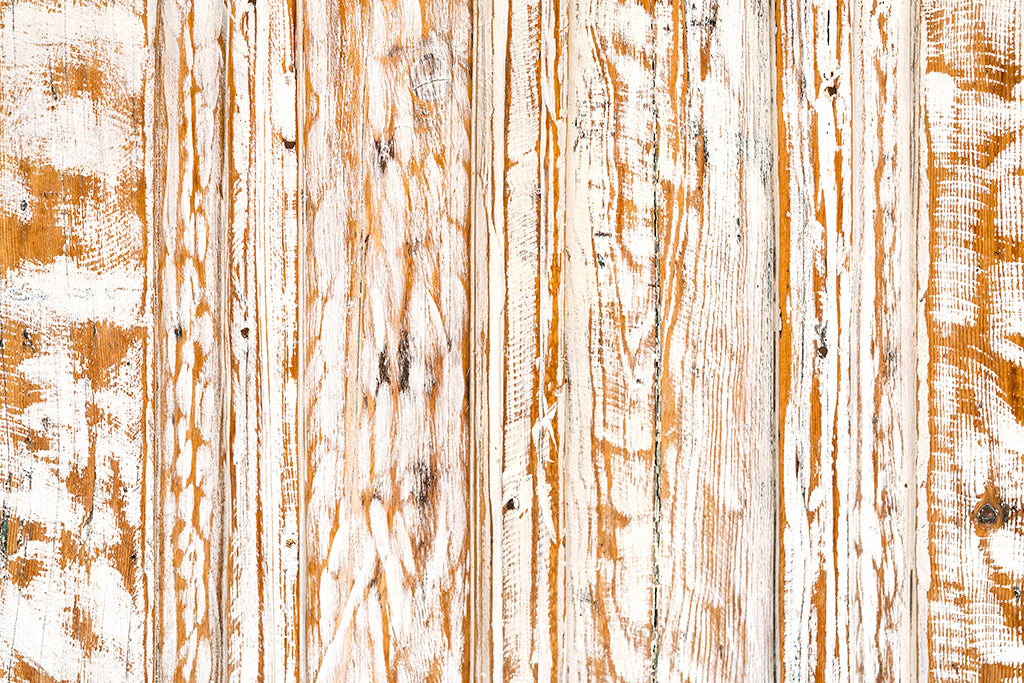 #064 Feature Wall- The Backdrop Shop