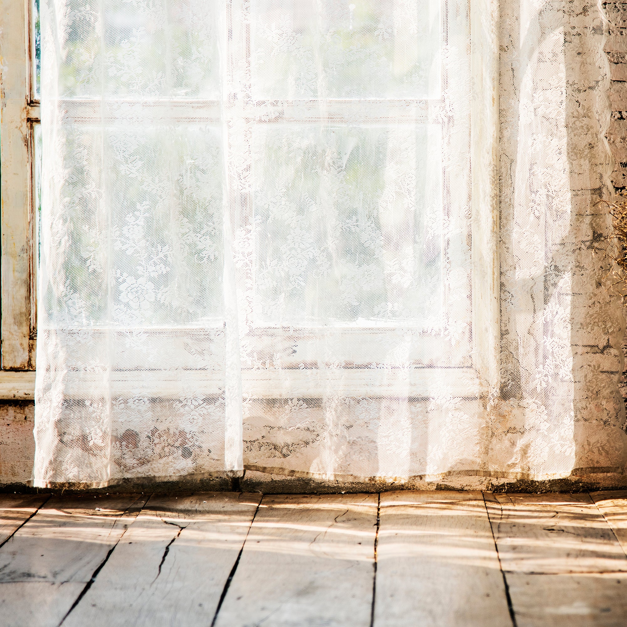 Backdrop Board Morning Light – The Backdrop Shop