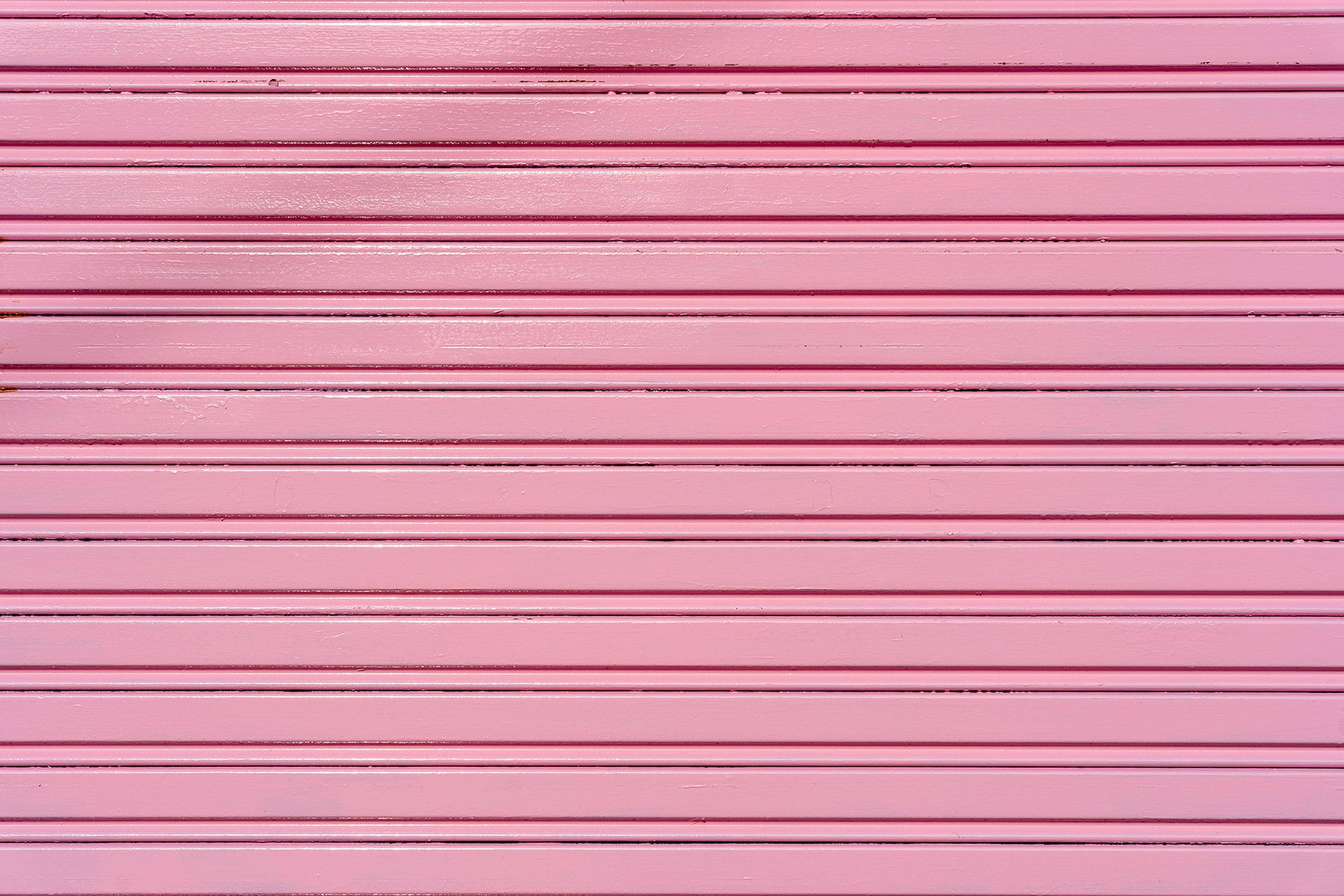 Pink Wall Panel – The Backdrop Shop