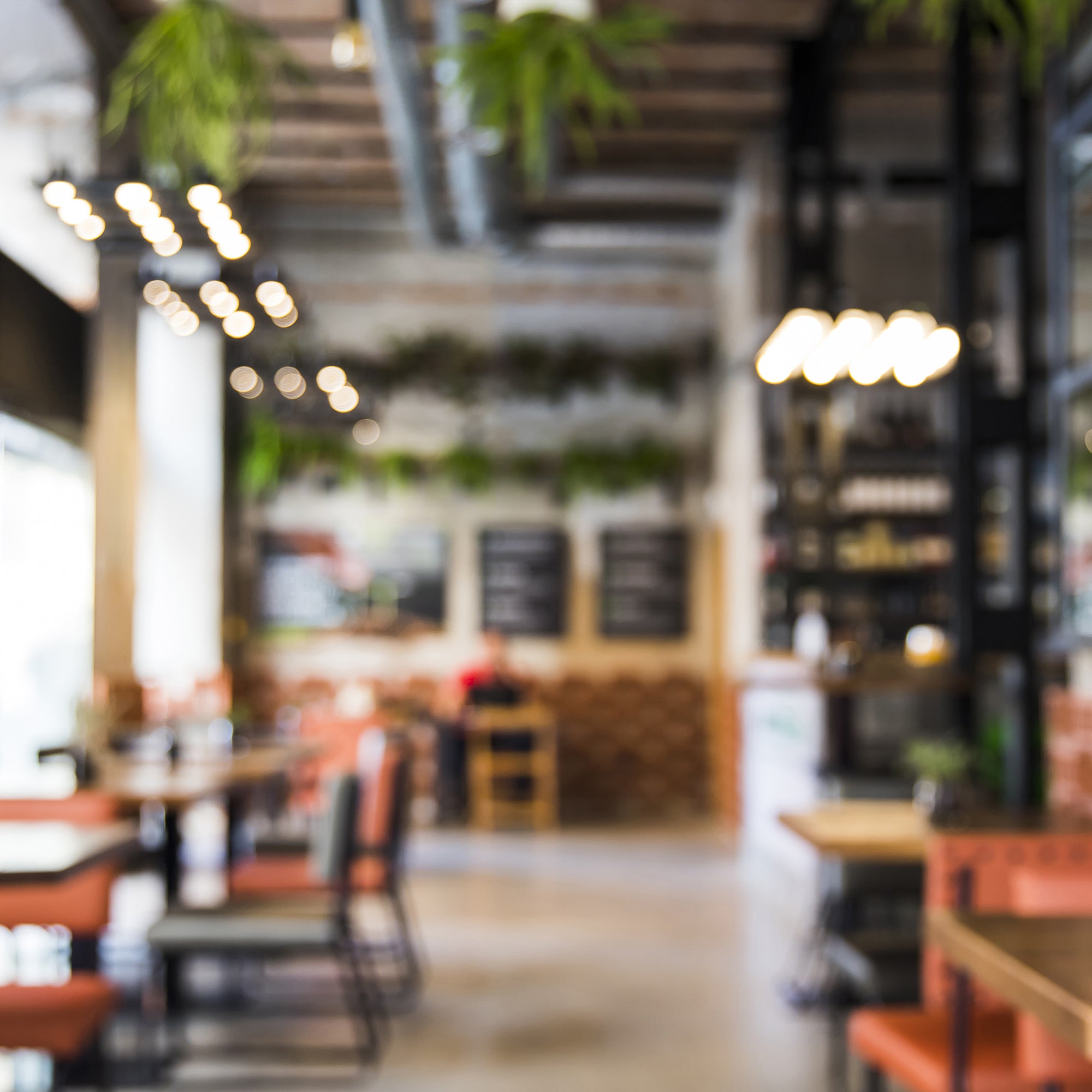 Backdrop Board Restaurant Scene – The Backdrop Shop