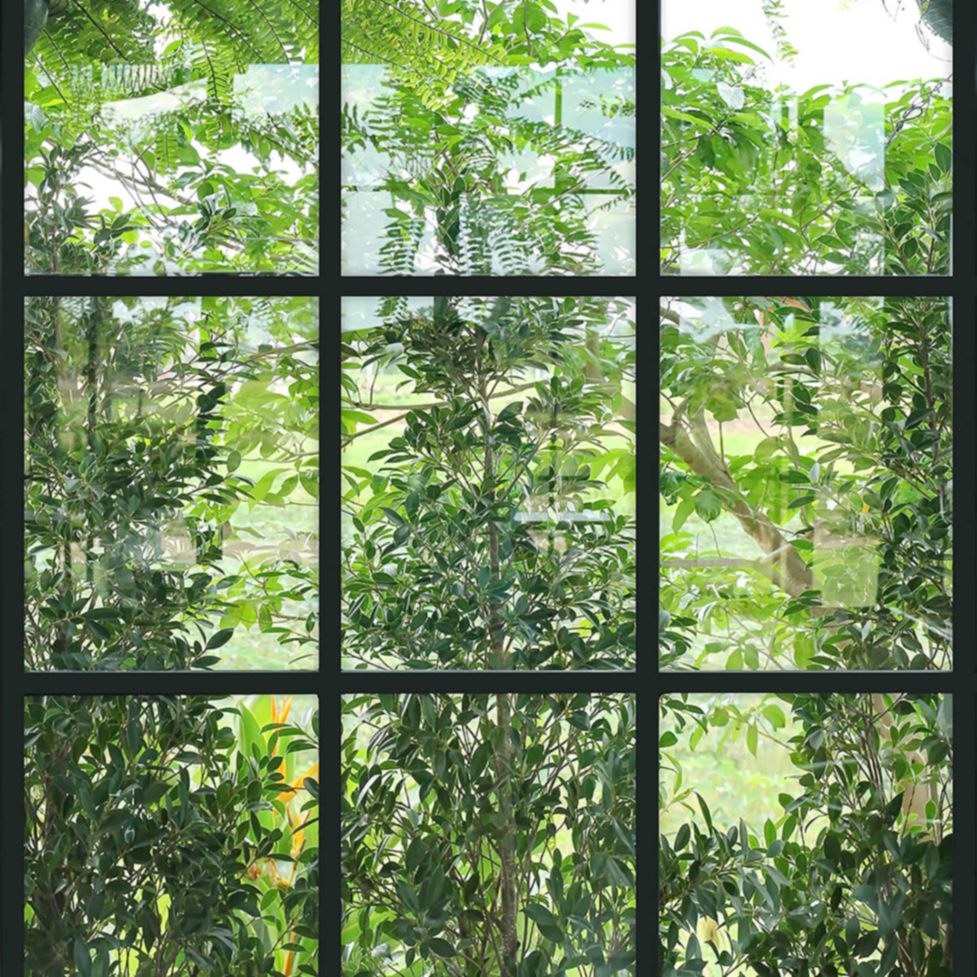 Backdrop Board Window Scene – The Backdrop Shop