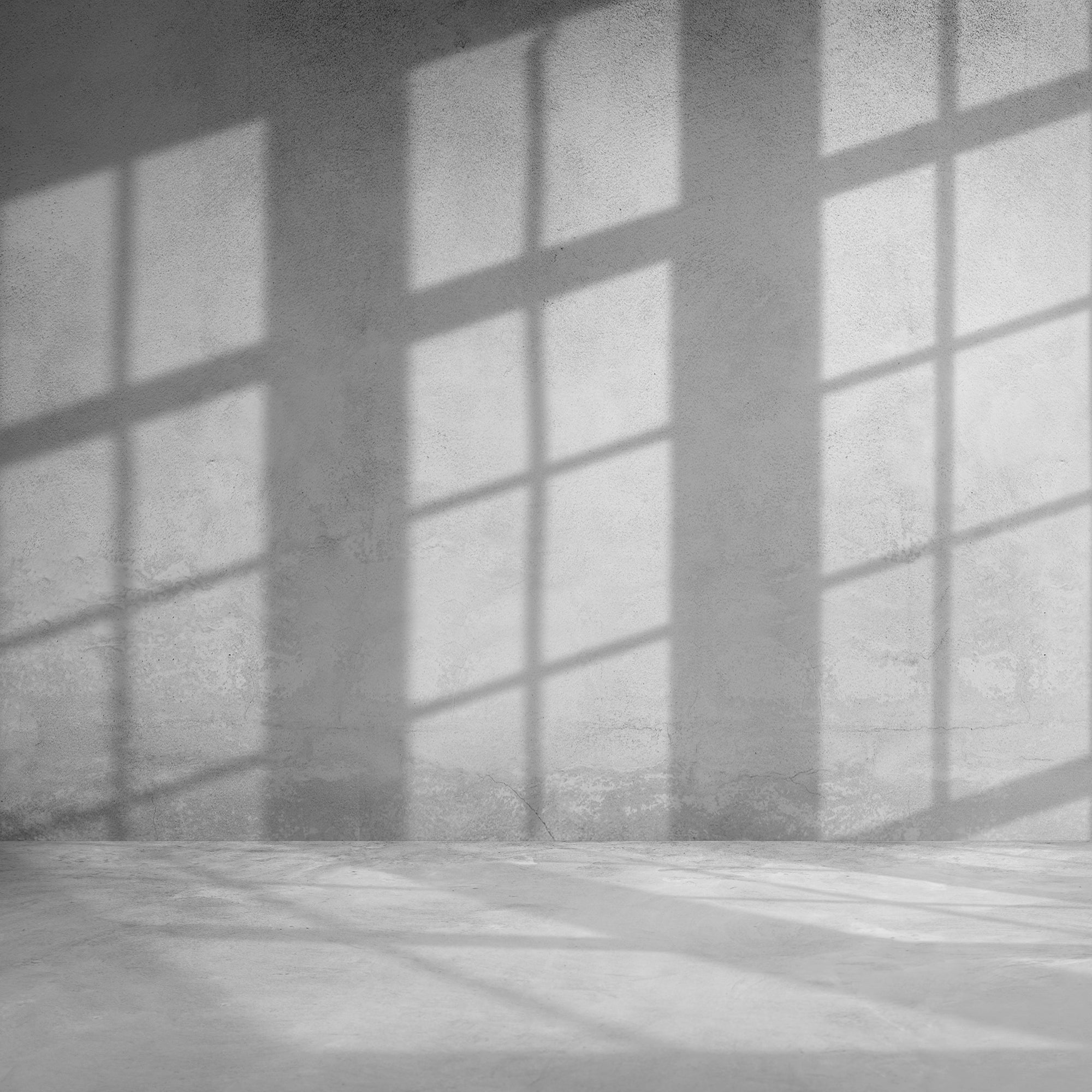 Backdrop Board Window Light – The Backdrop Shop