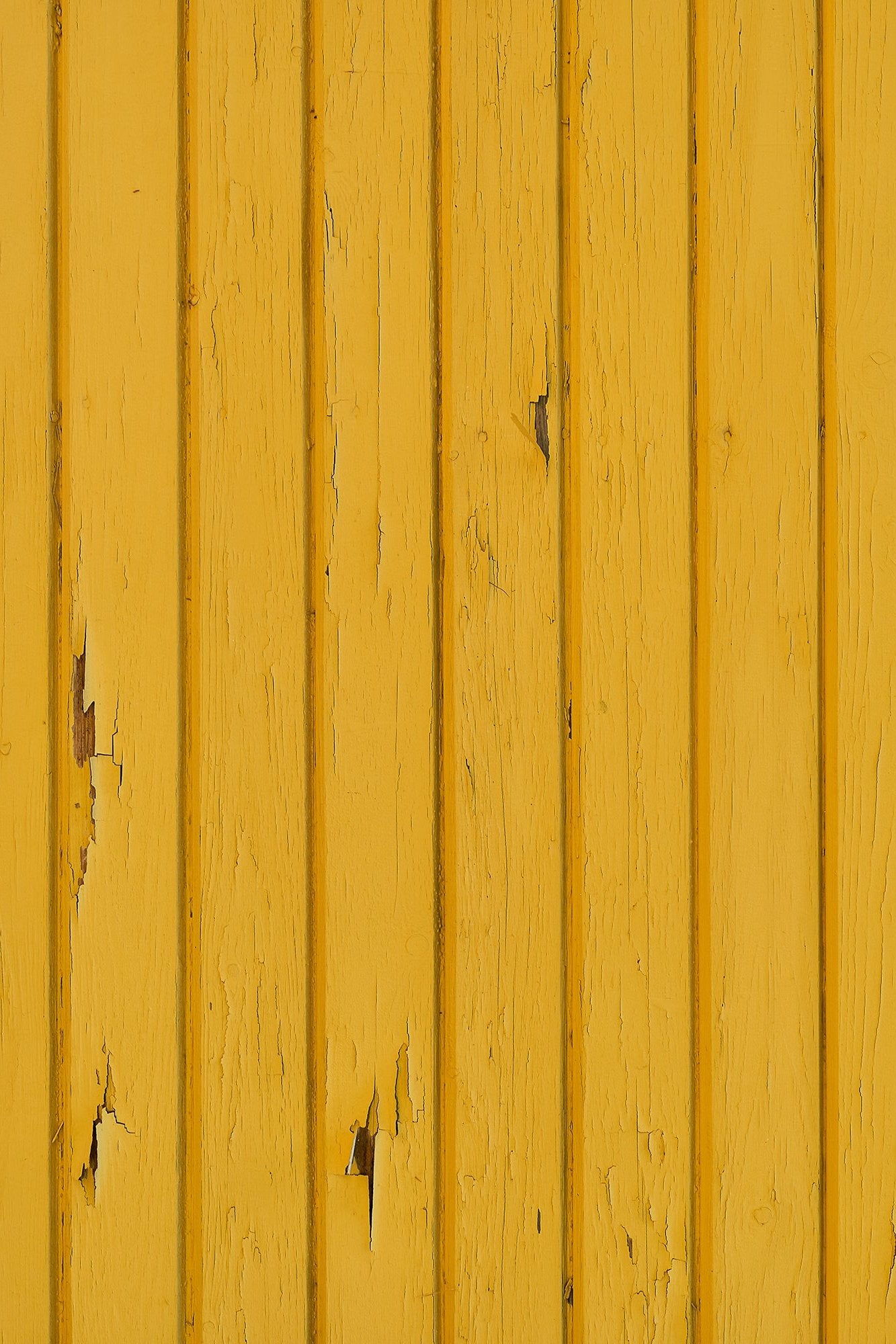 Yellow Wall – The Backdrop Shop
