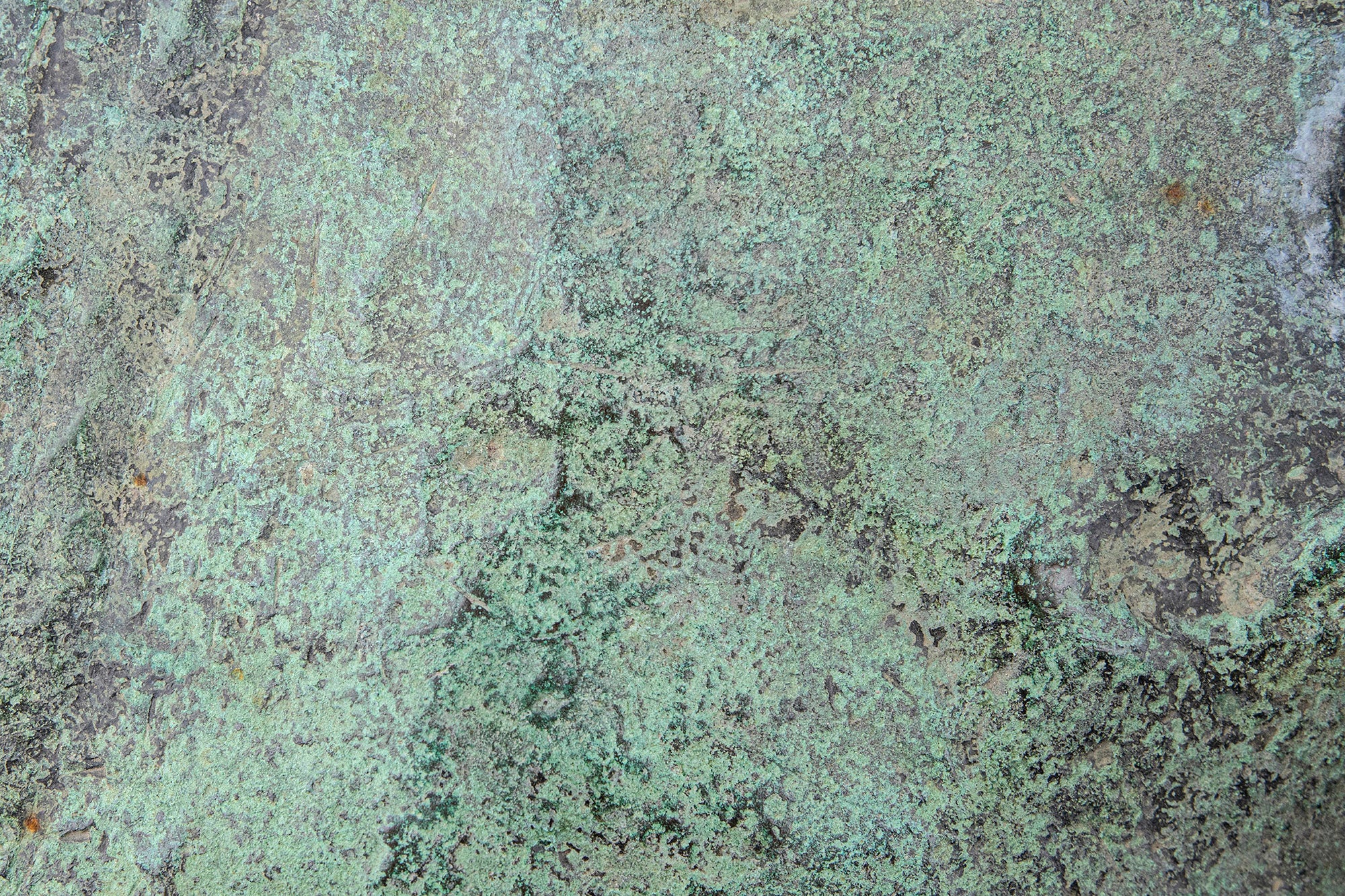 #157 Green Metal - The Backdrop Shop