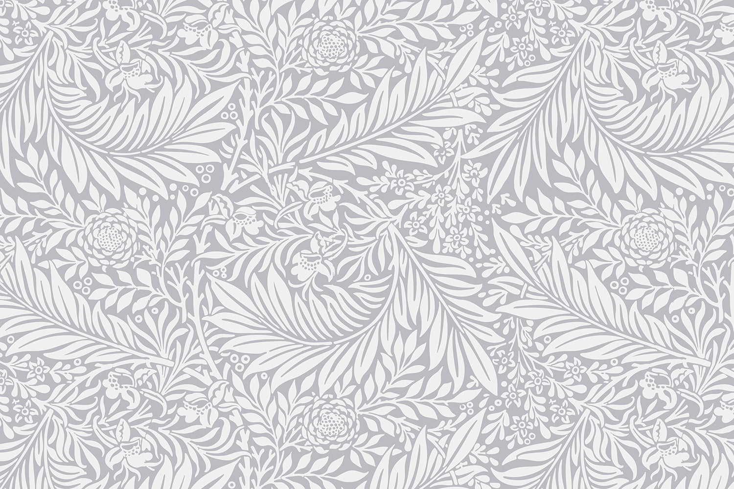 William – The Backdrop Shop